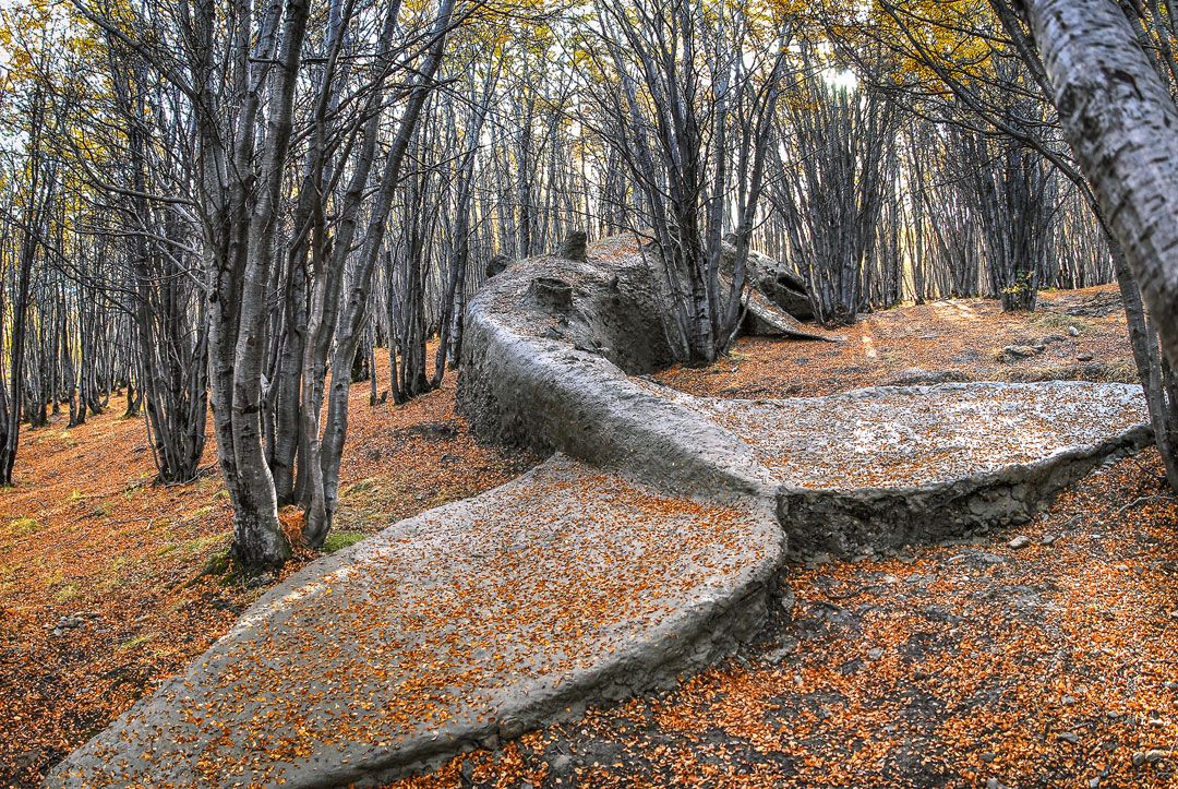 Sculpture "Mi Familia Muerta (My Dead Family)" by Adrián Villar Rojas in Yatana Forest ...