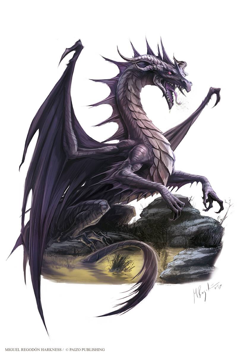 Adult Black Dragon by Miguel Regodón Harkness | Scrolller Adult Black Dragon by Miguel Regodón Harkness | Scrolller