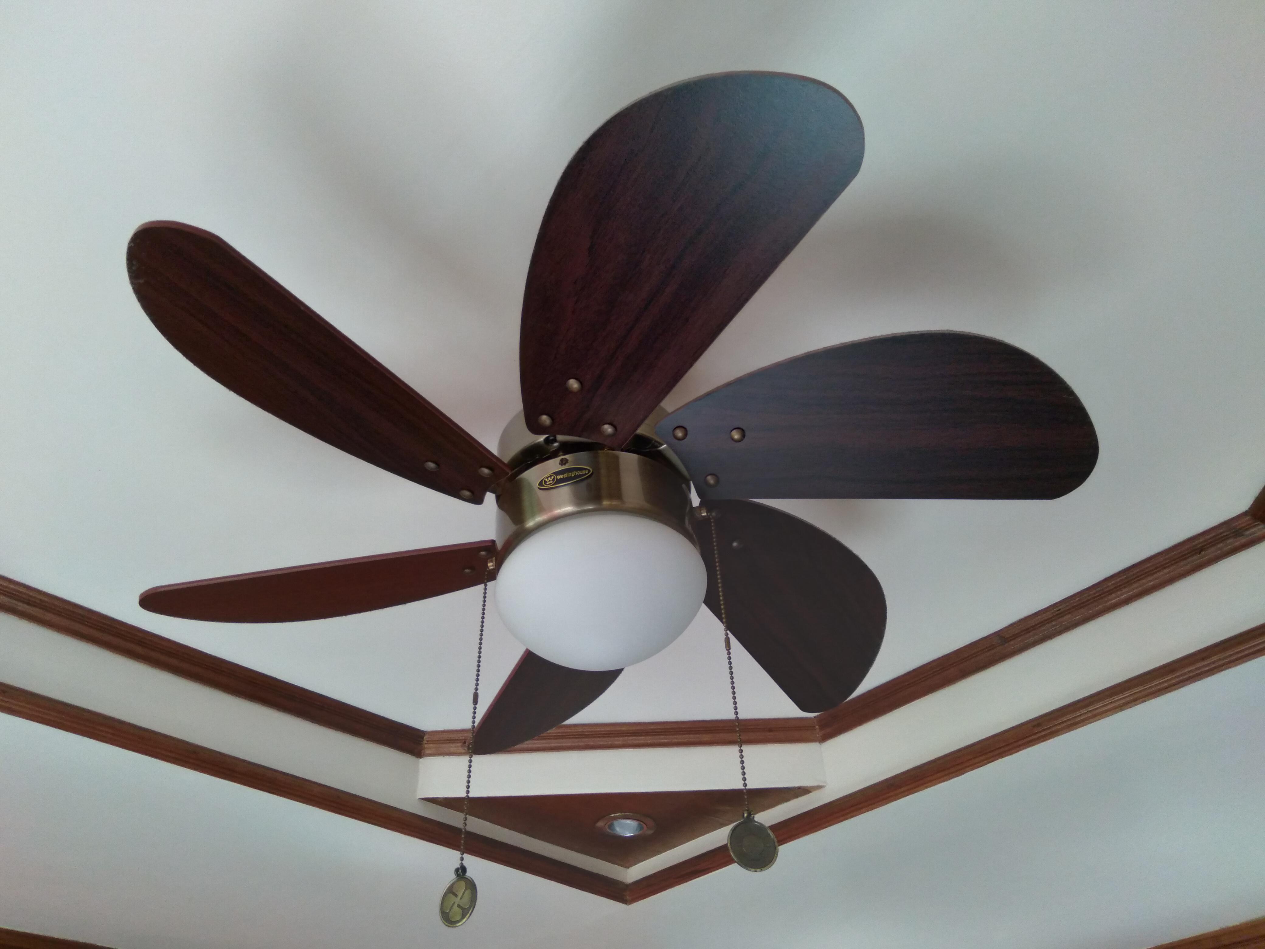 After 10 years of convincing, my fam finally decided to get a ceiling fan. | Scrolller