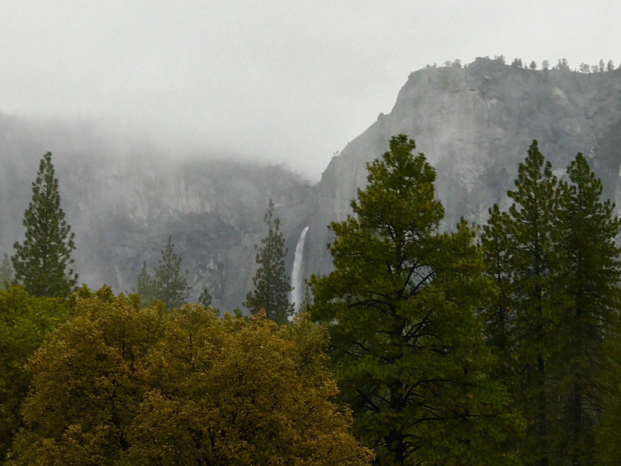 After a heavy night of rain, Yosemite Falls kicked back into gear today! | Scrolller