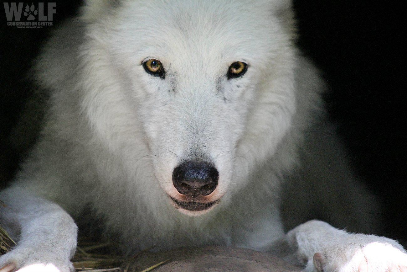 After a meal... | Scrolller