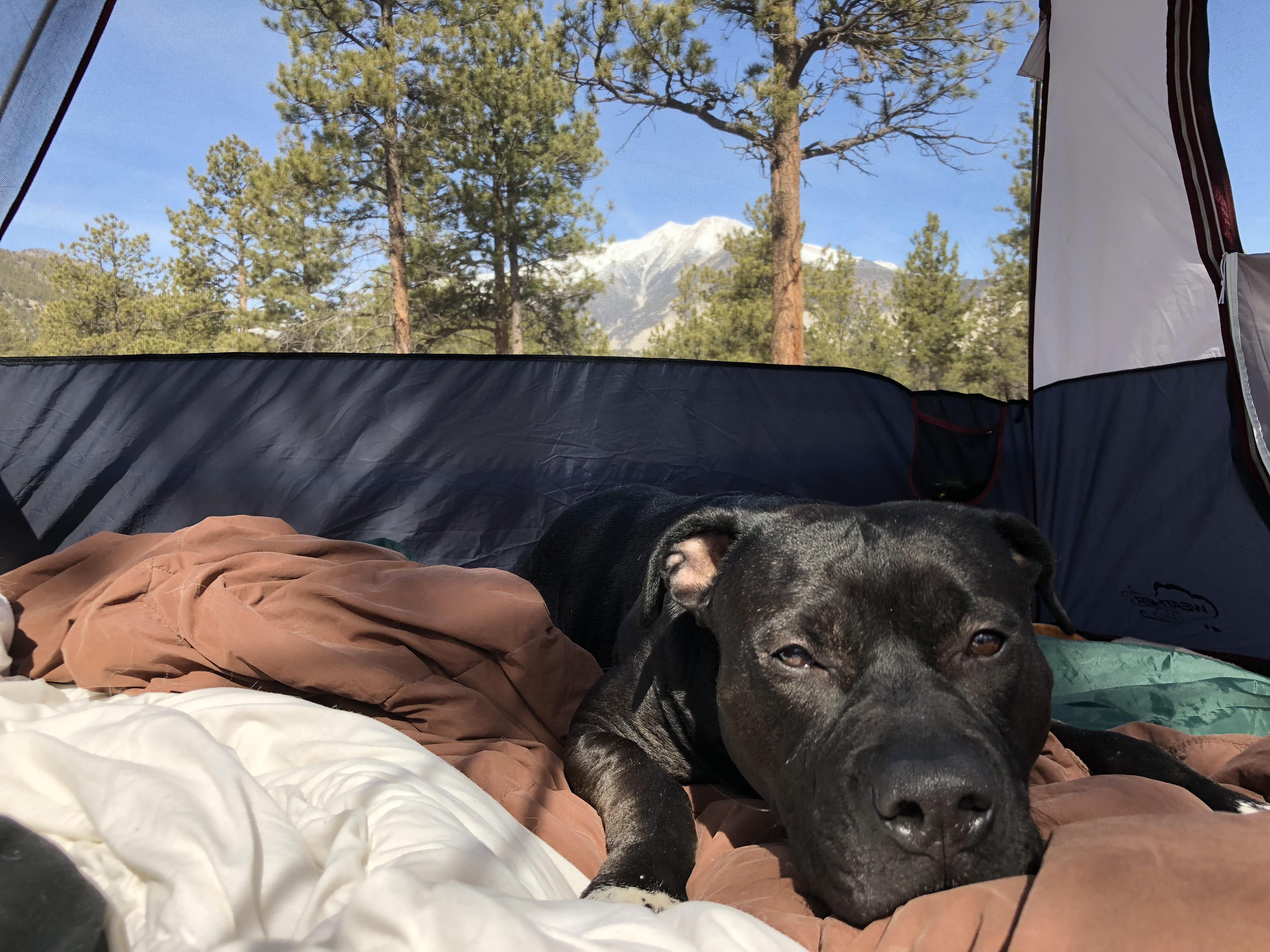 afternoon tent naps are the best. | Scrolller