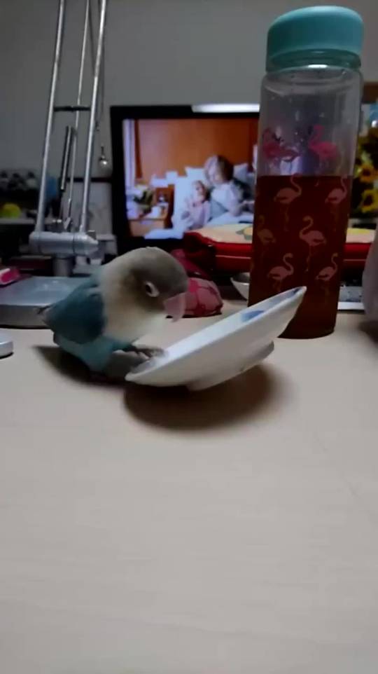 AGAIN !!! | Scrolller