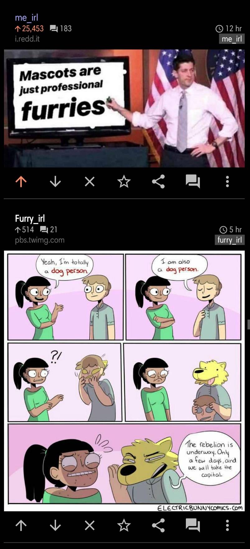 Ah, furries | Scrolller