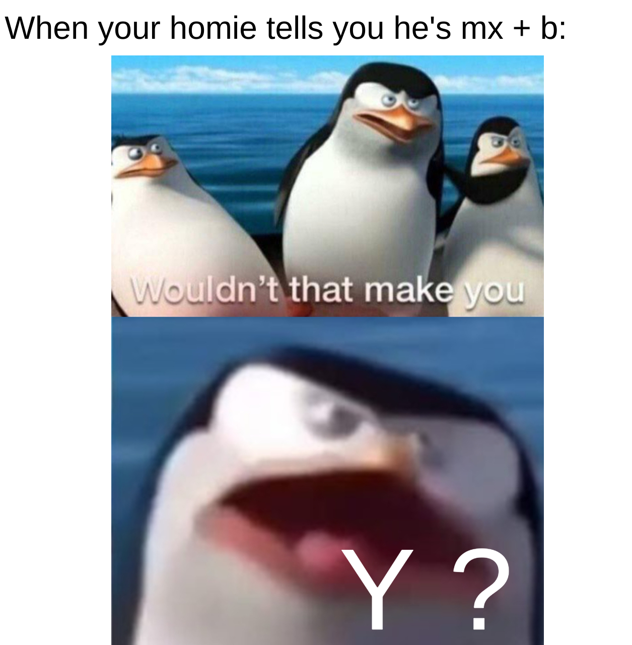 Ah yes, math memes | Scrolller