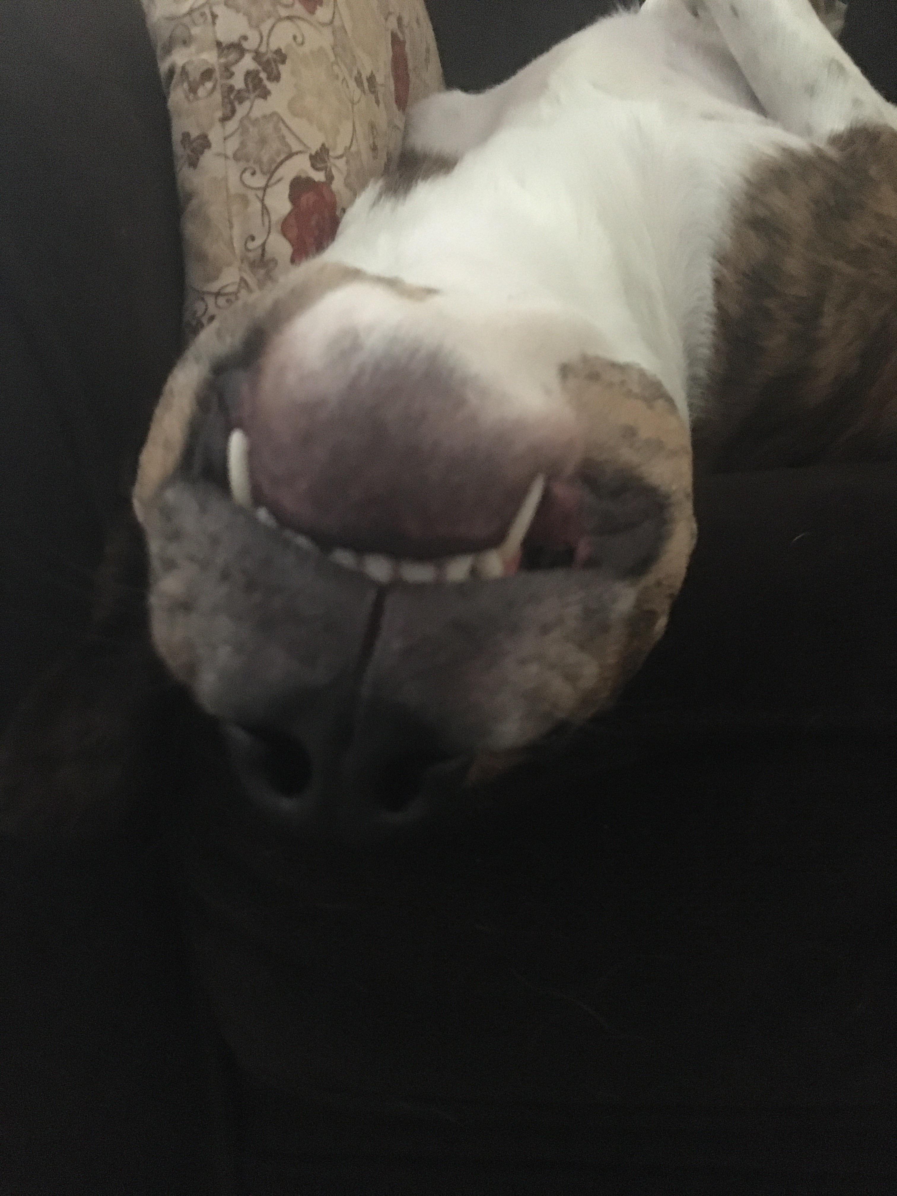 Ah yes, so “comfortable” | Scrolller