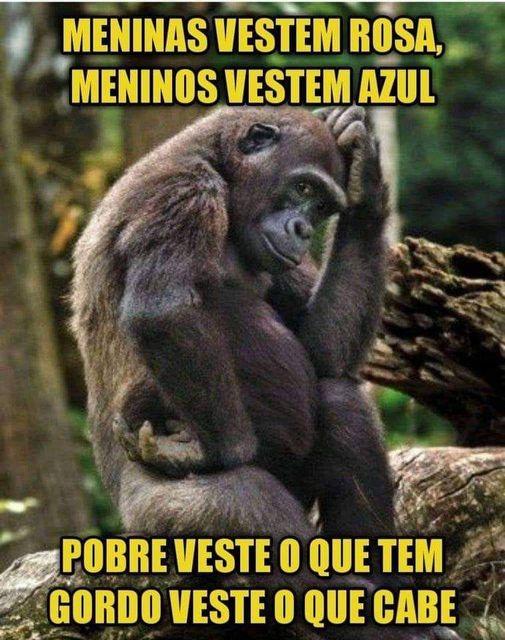 AHAHA gordo é foda | Scrolller