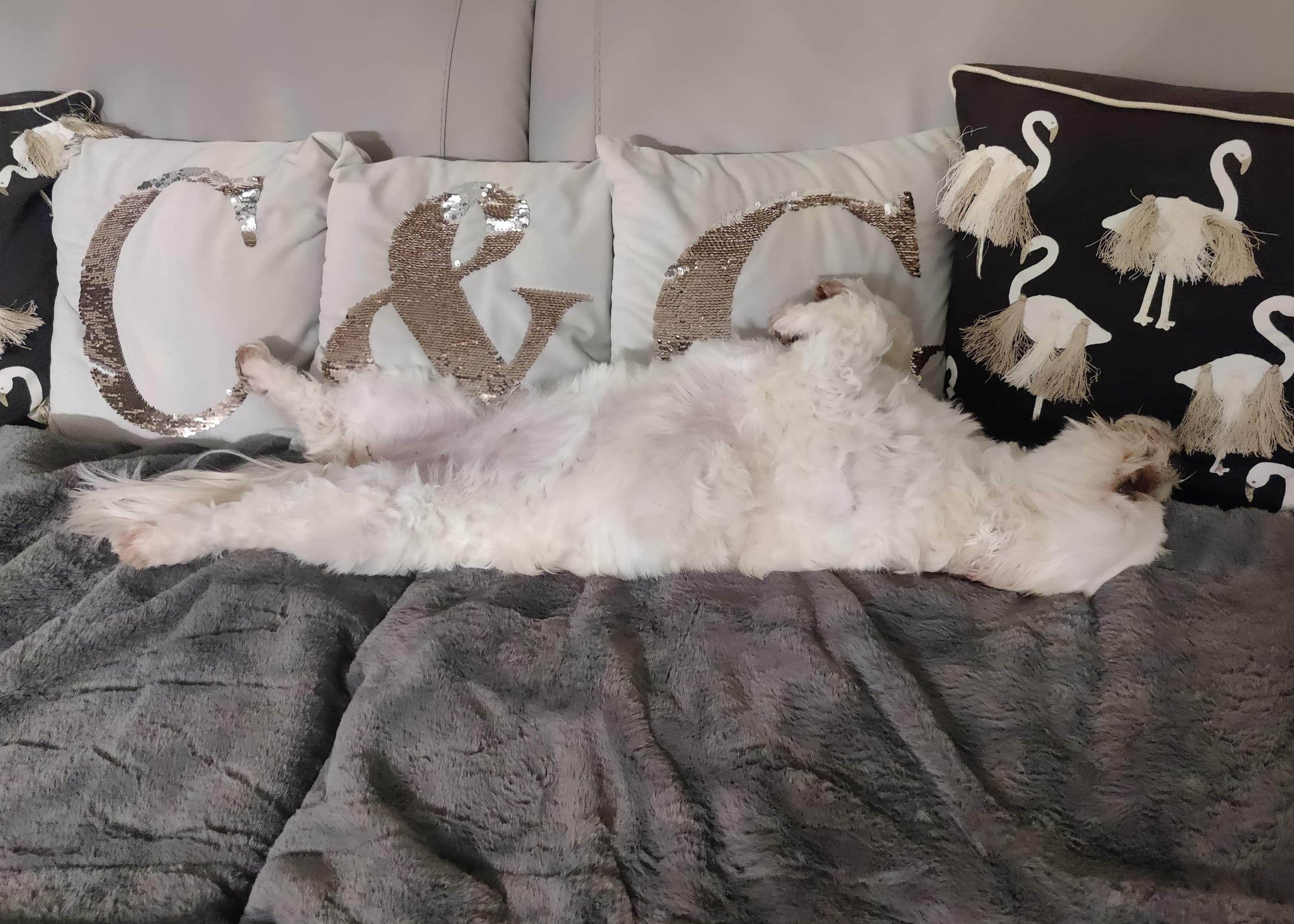 Ahh yes ultimate comfort | Scrolller