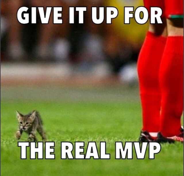 Air Bud Is A Lie Scrolller