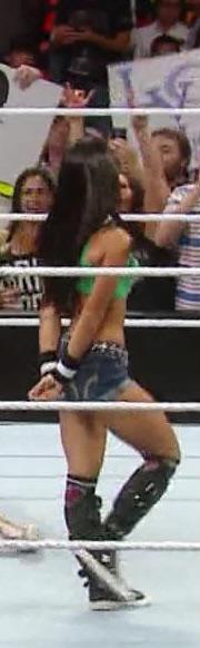 AJ Lee | Scrolller