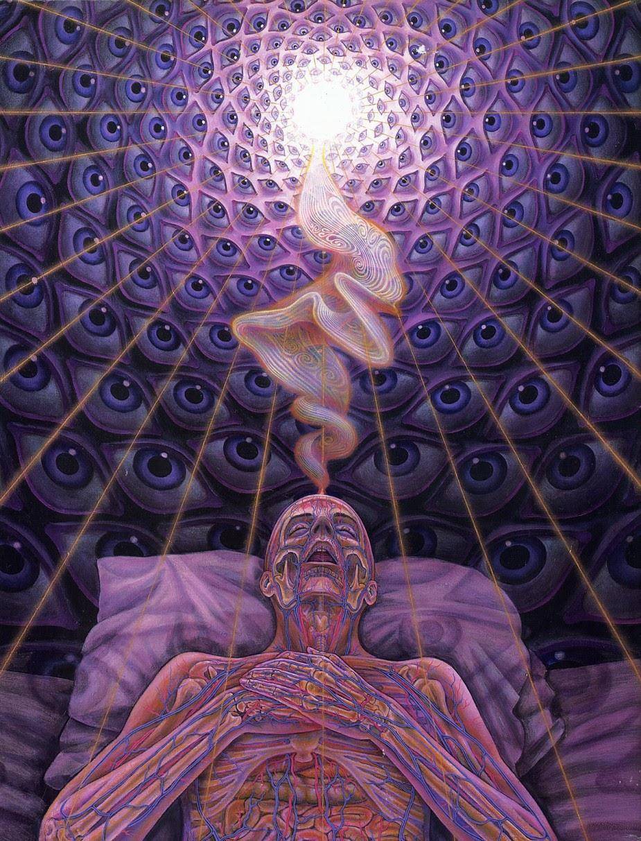 Alex Grey | Scrolller