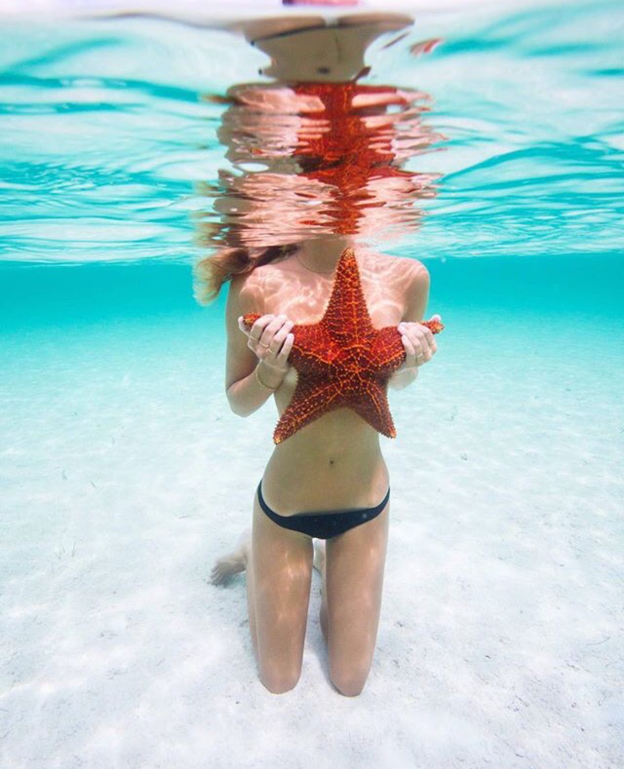Alexis Ren and her starfish! | Scrolller