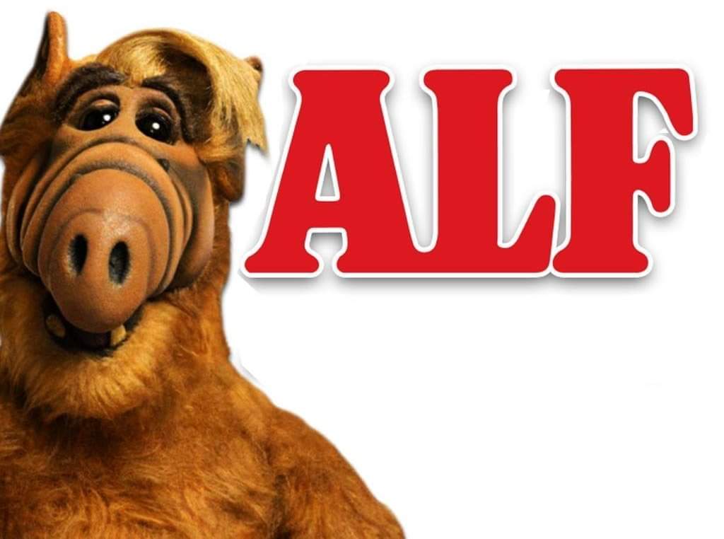 👽 ALF 🛸 | Scrolller