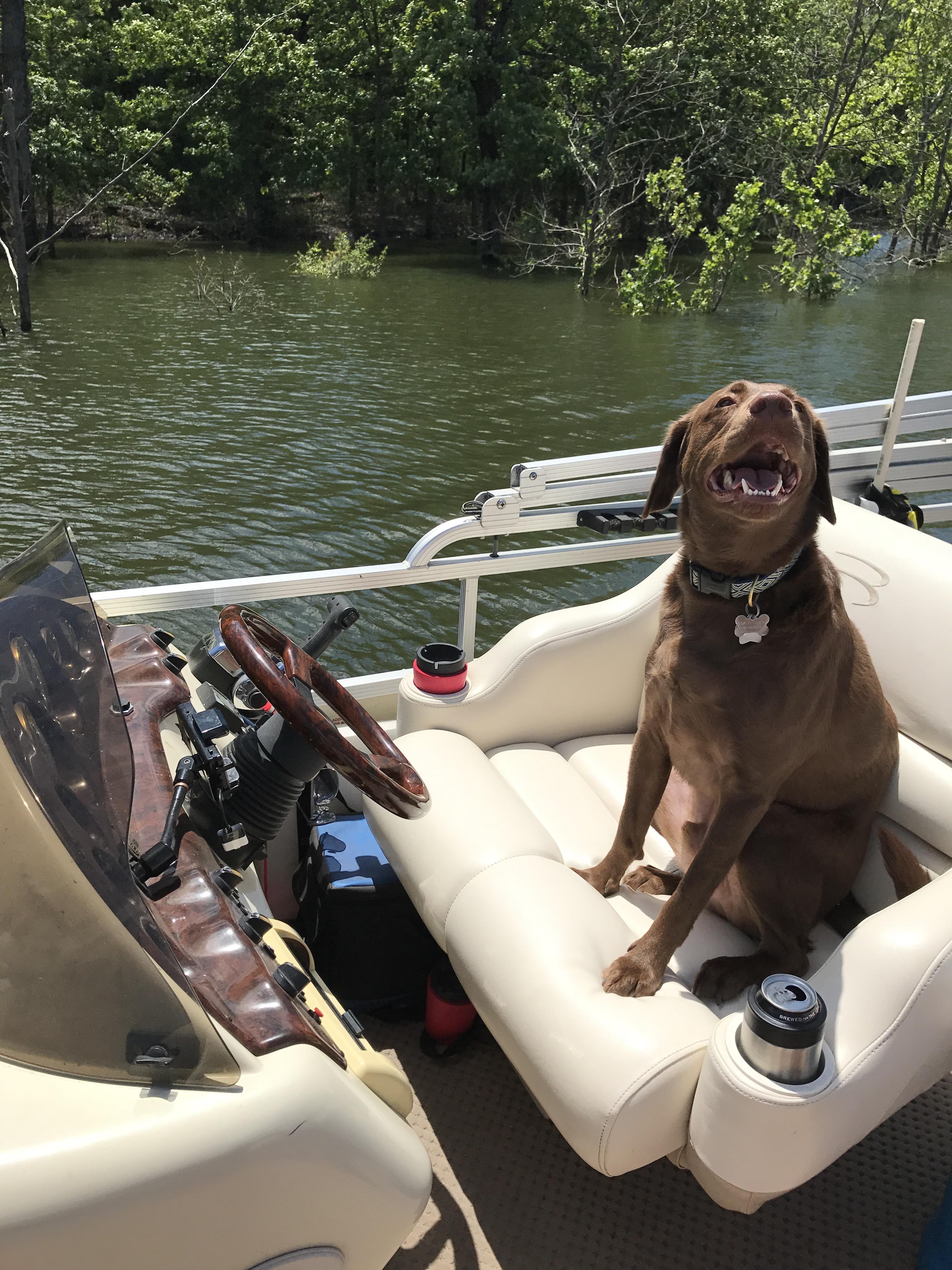 All aboard :) | Scrolller