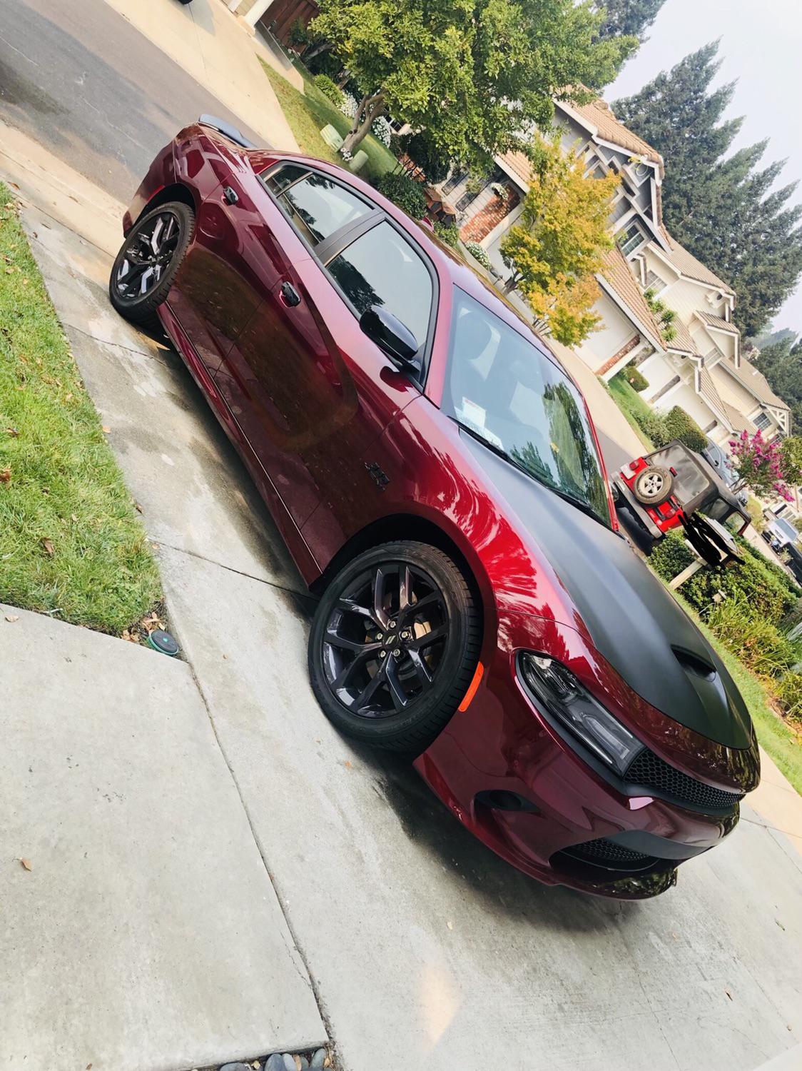 All cleaned up | Scrolller