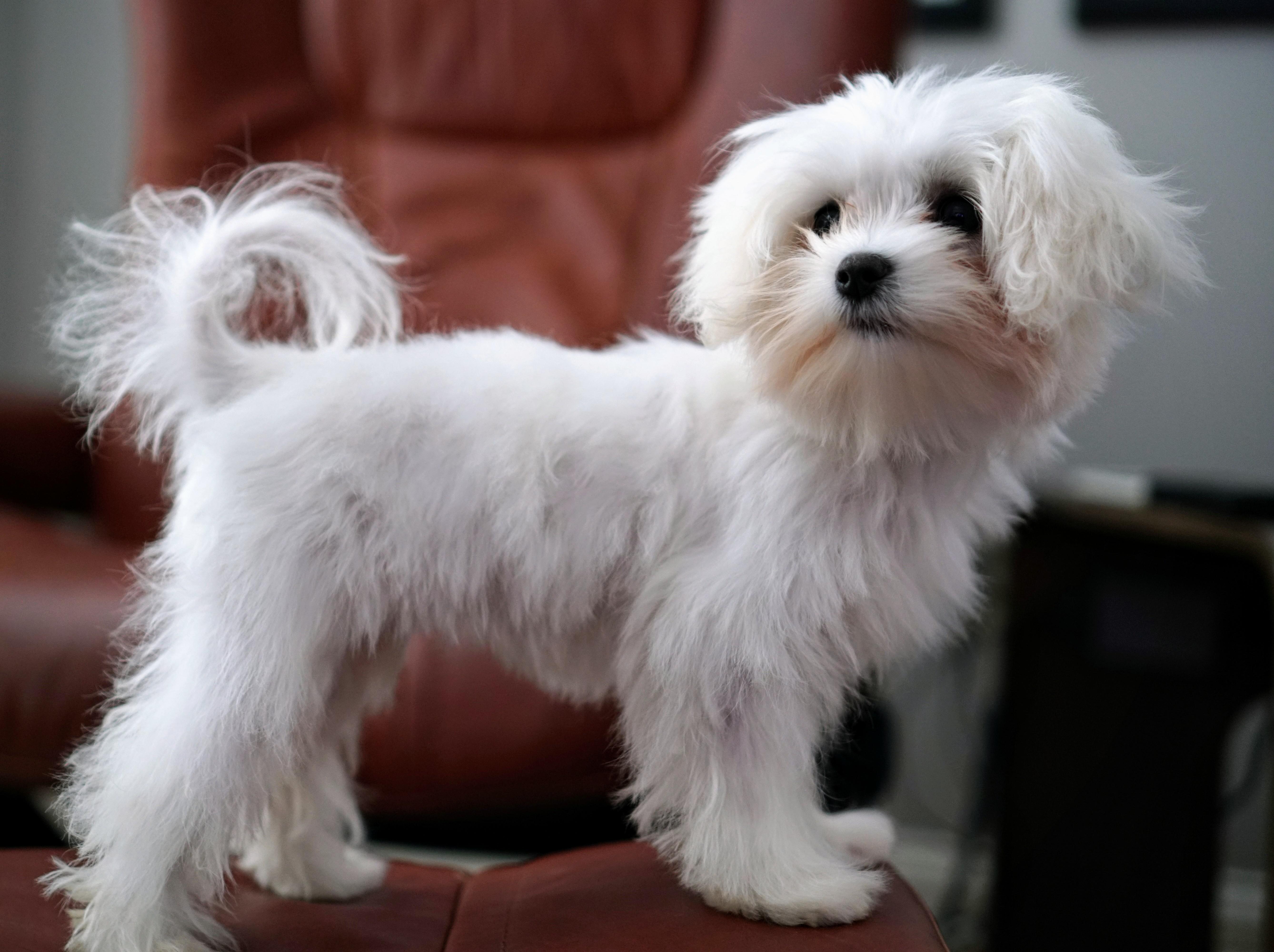 All cleaned up. | Scrolller