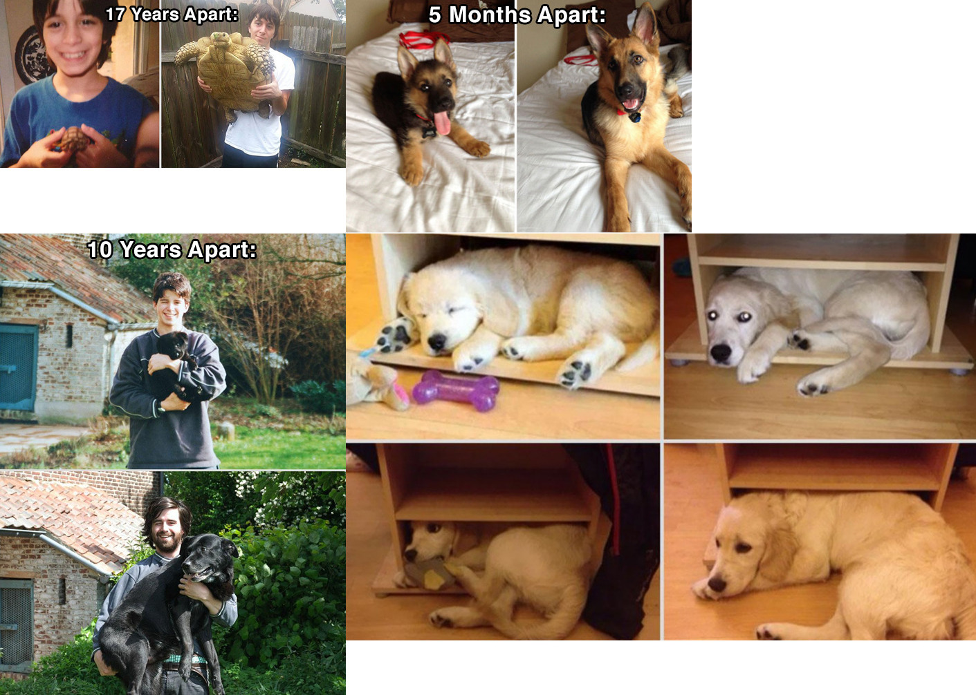 all grown up | Scrolller