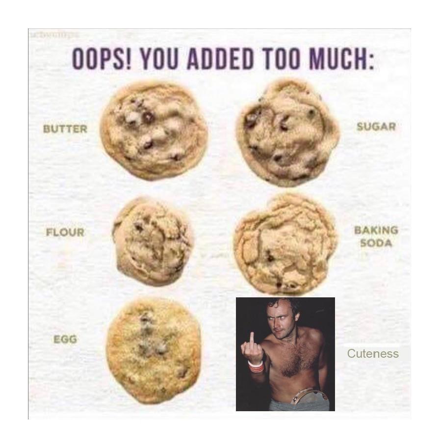 All hail our king | Scrolller