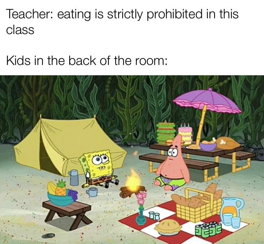 All hail the magic conch! | Scrolller