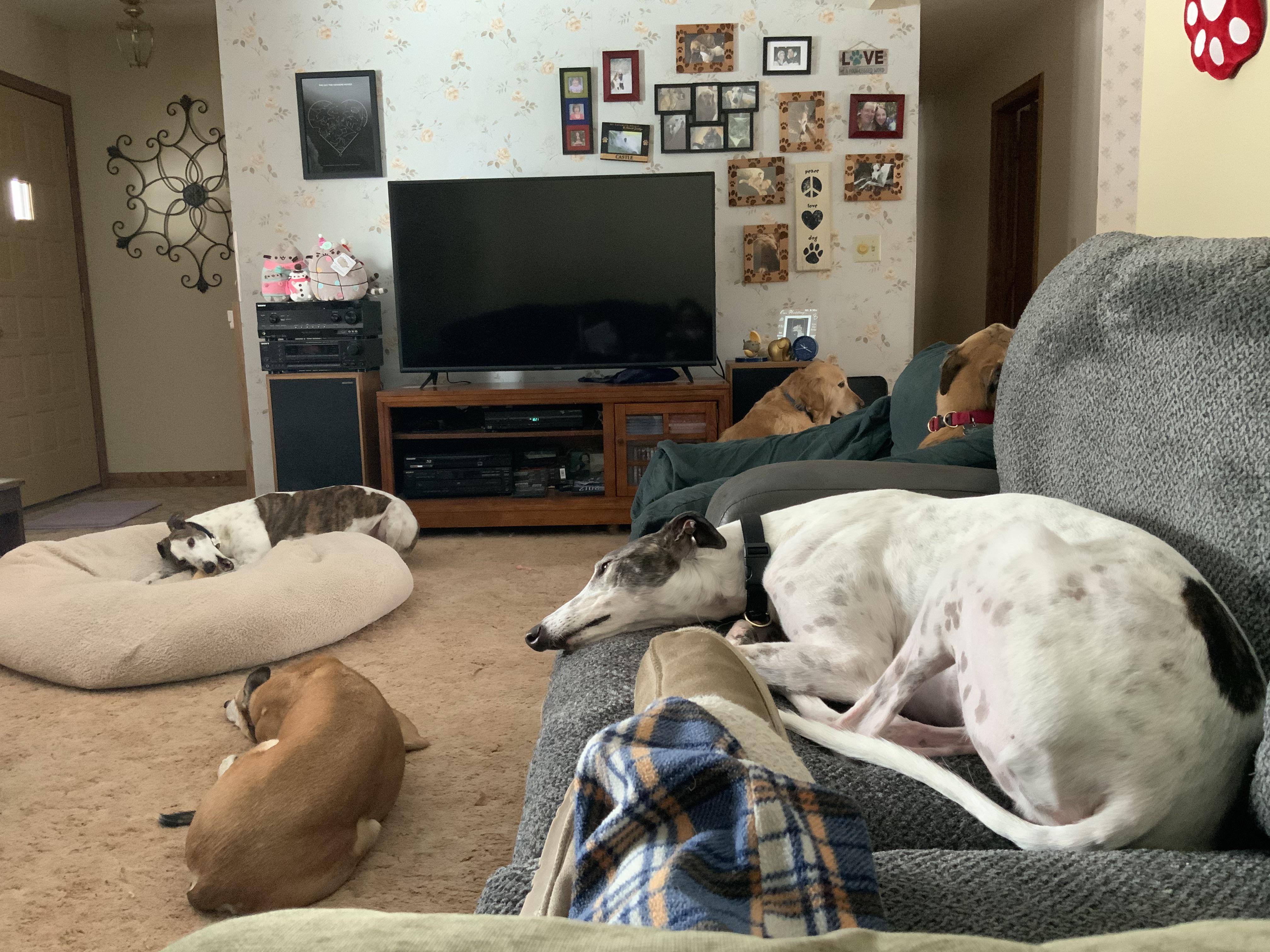 All my babies in a....row? | Scrolller