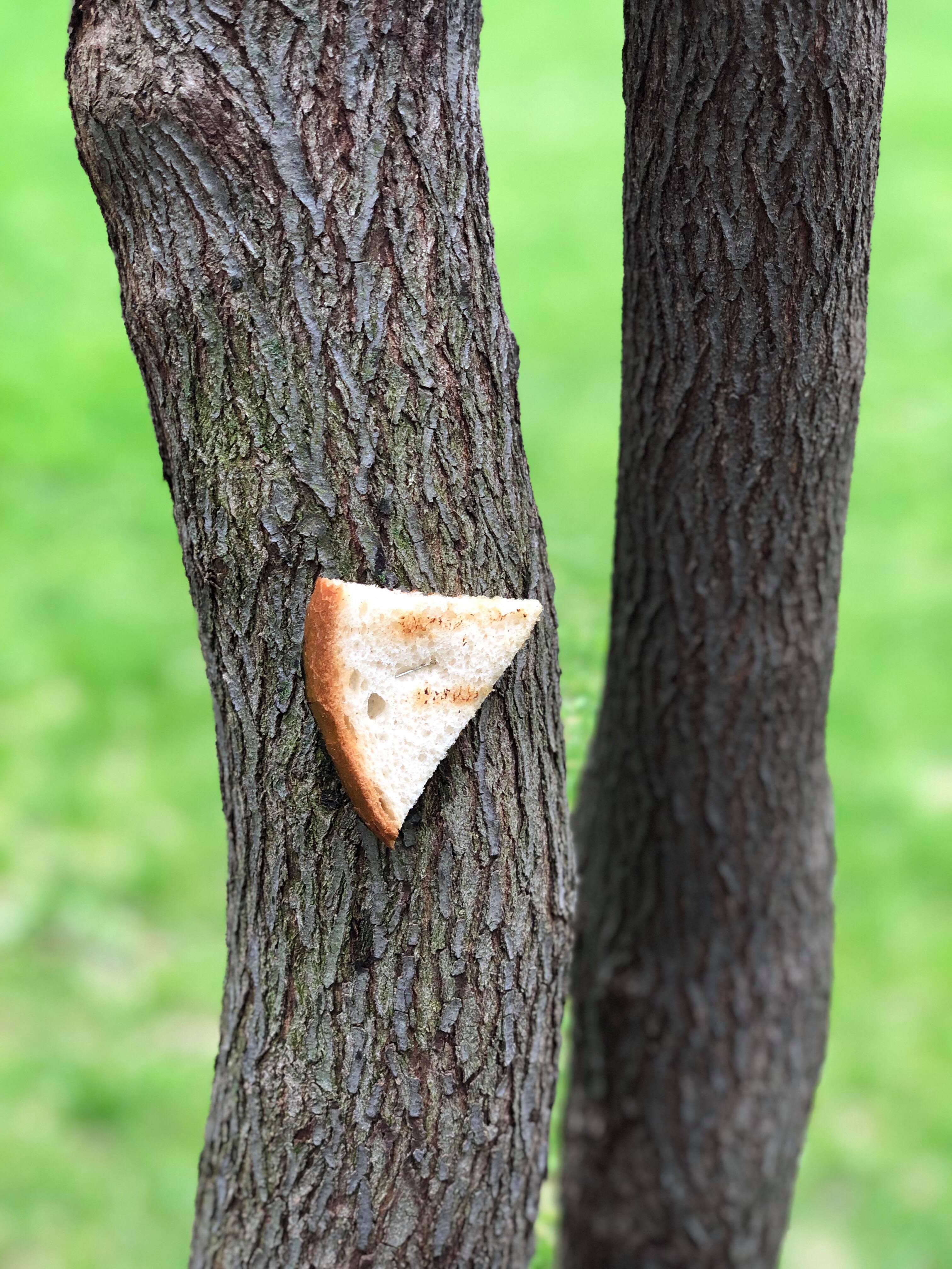 All Shapes and Sizes | Scrolller