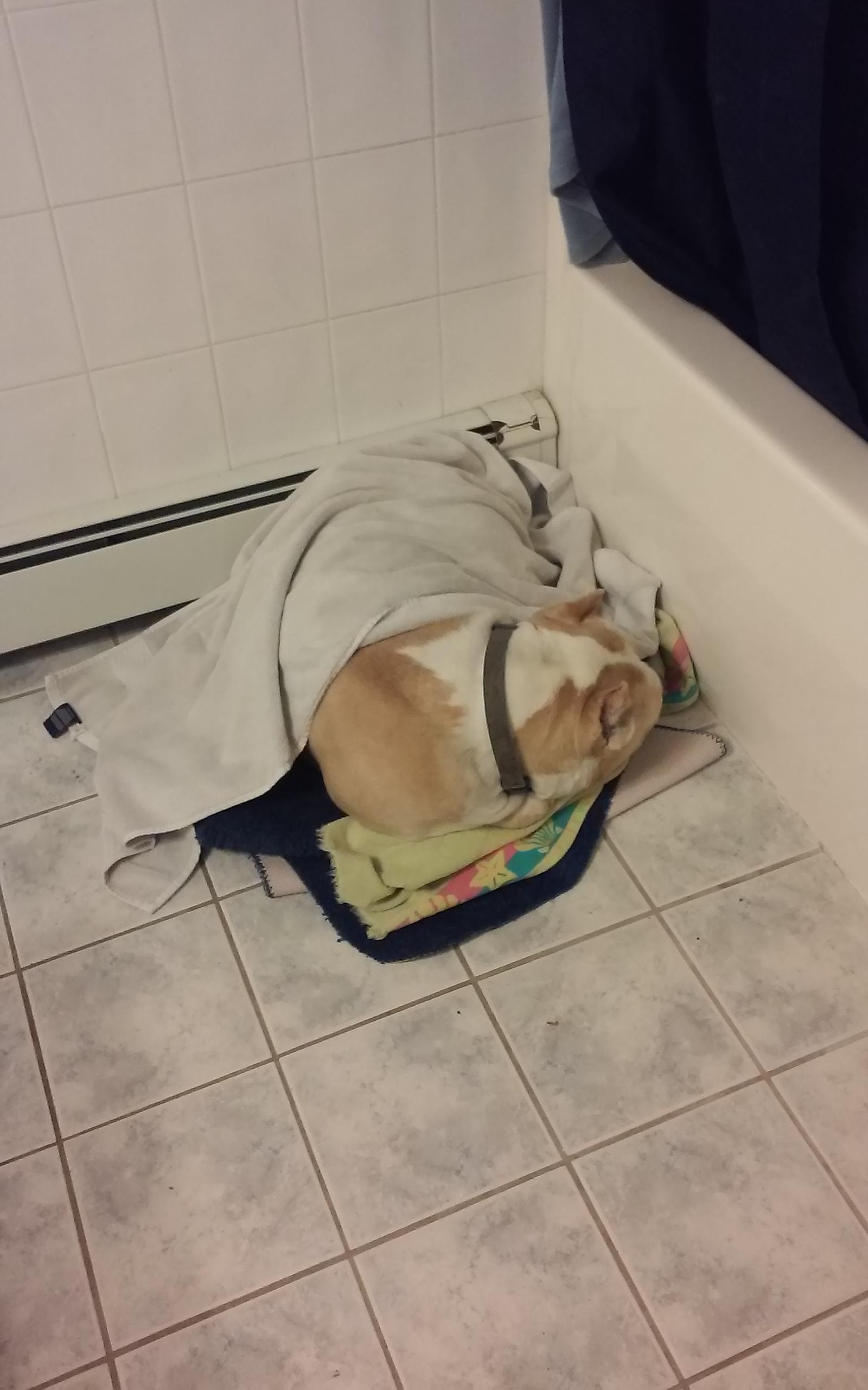 All snuggled up trying to keep warm.💓💗 | Scrolller