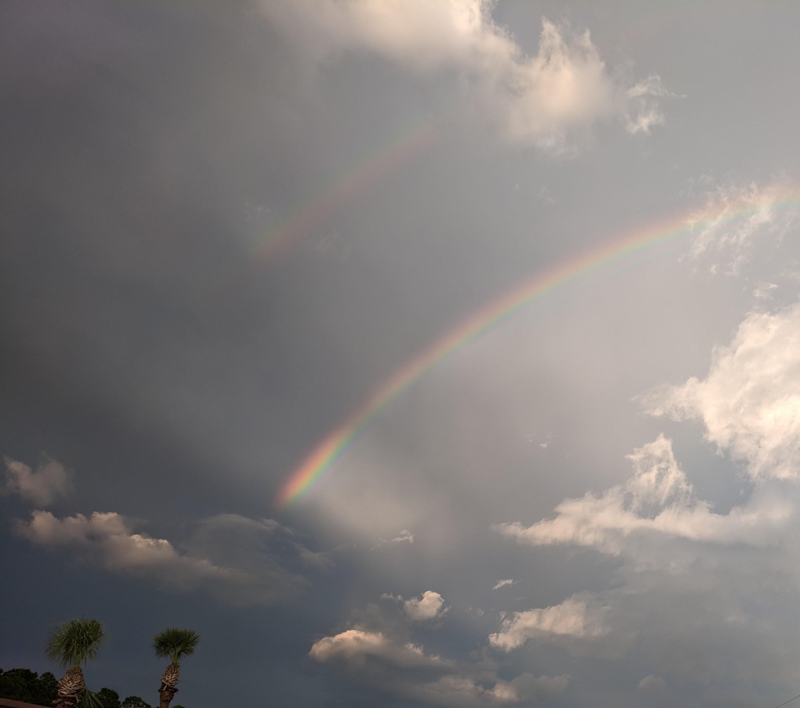 All the way. | Scrolller