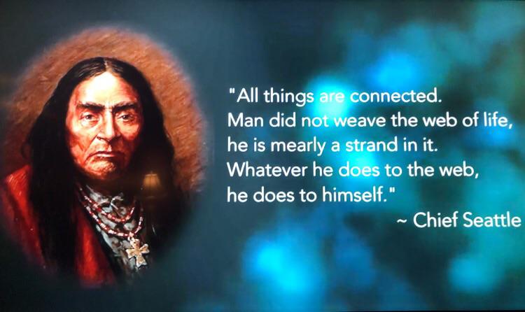 “All things are connected..” | Scrolller