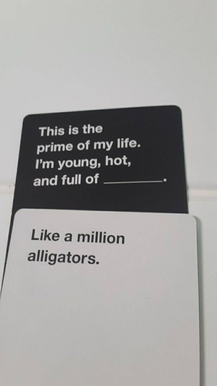 Alligators | Scrolller