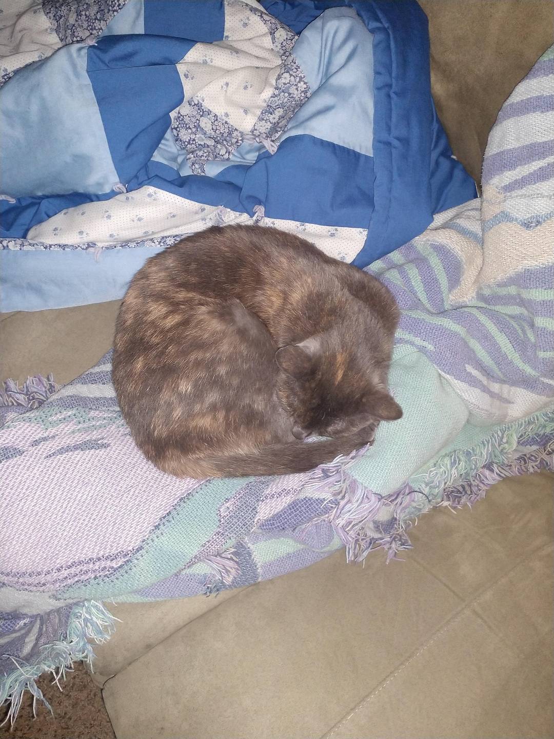 Almost a perfect circle | Scrolller