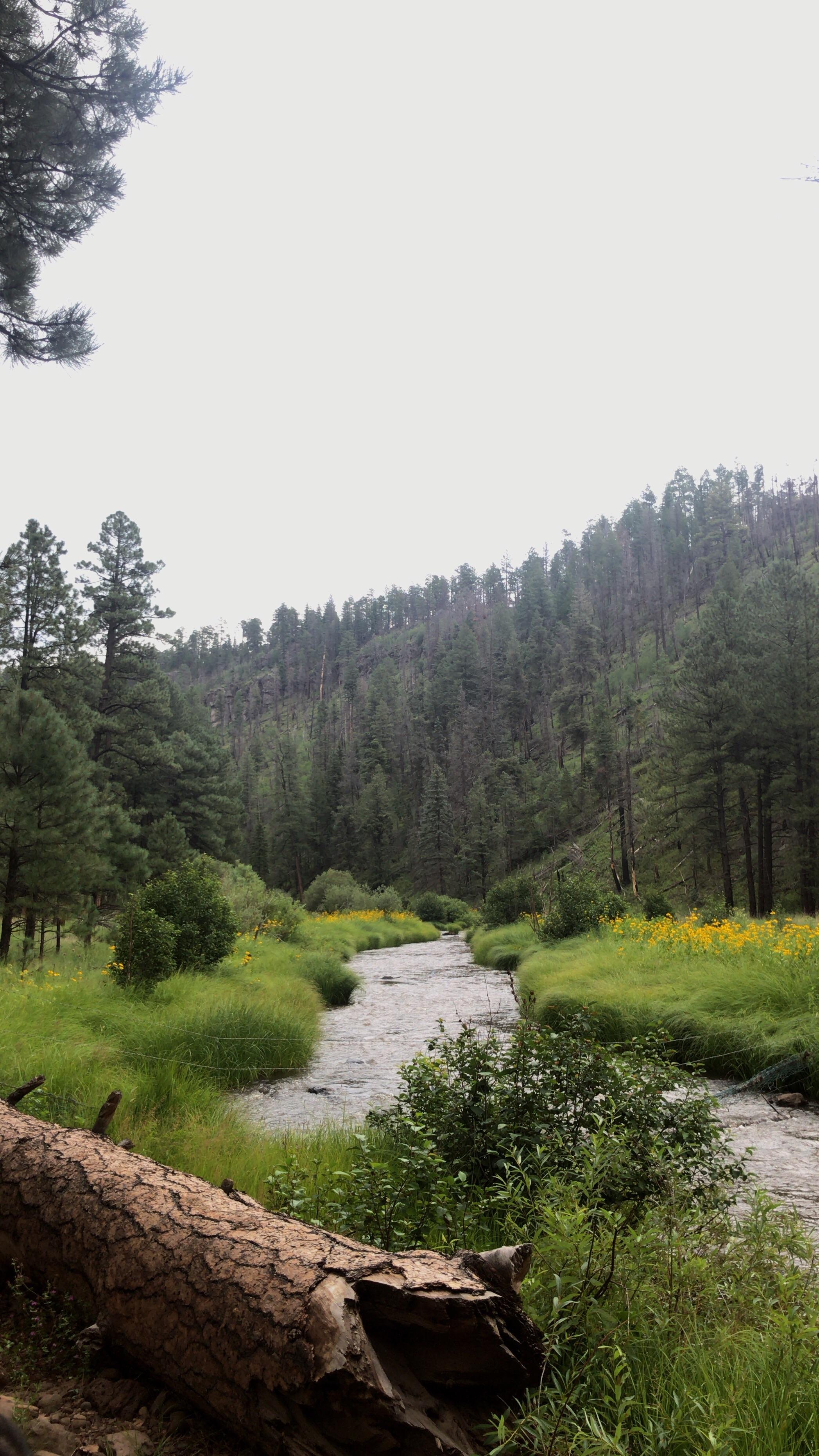 Alpine, AZ | Scrolller