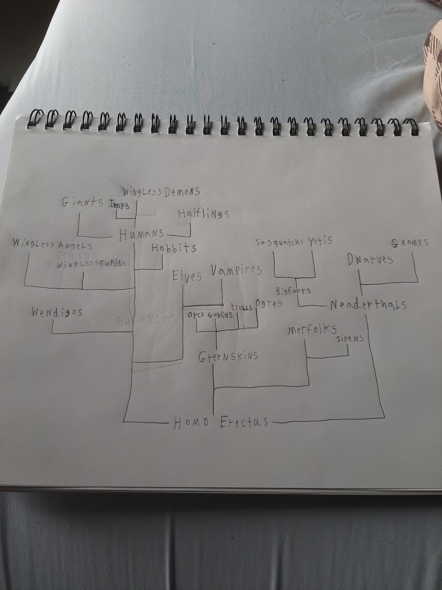 Alternate Human Family Tree | Scrolller