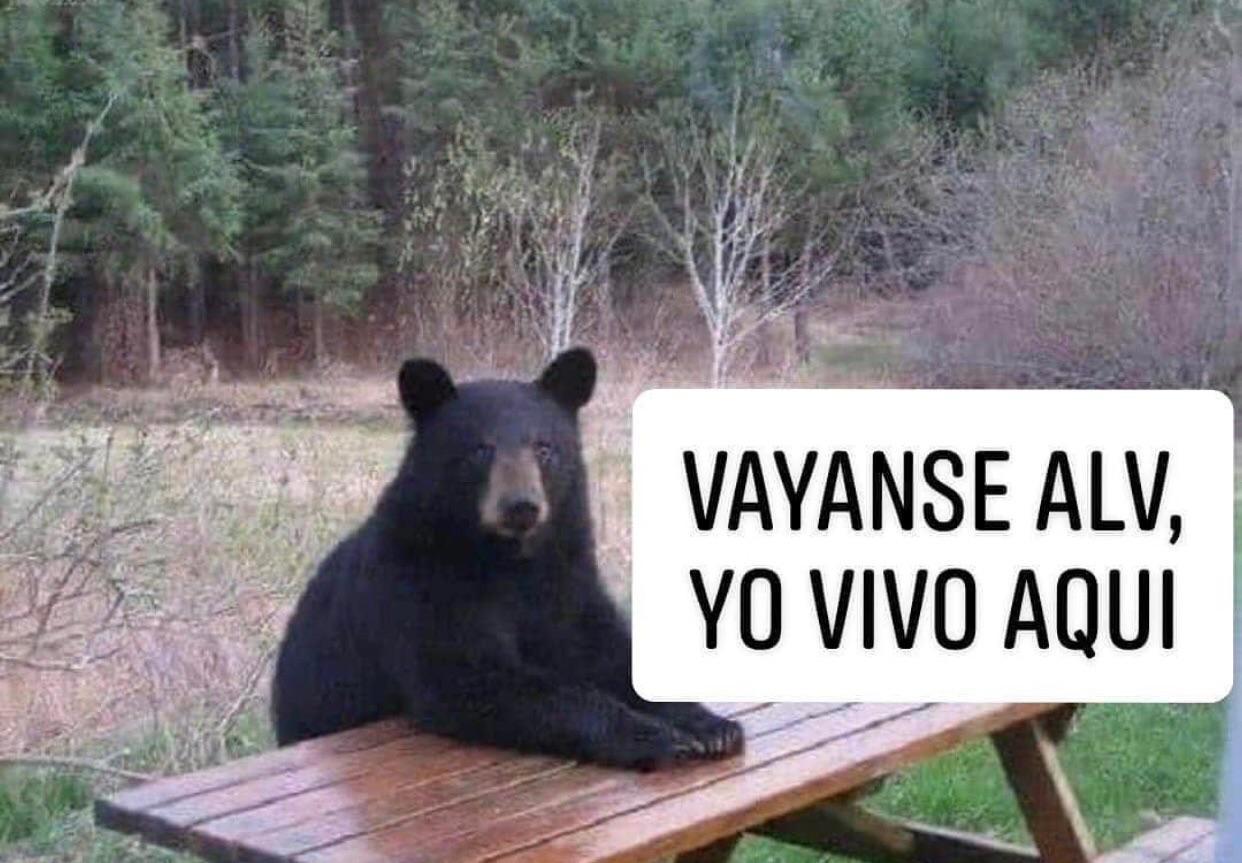 Alv todos | Scrolller