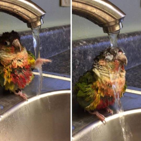 Always check the temperature first | Scrolller