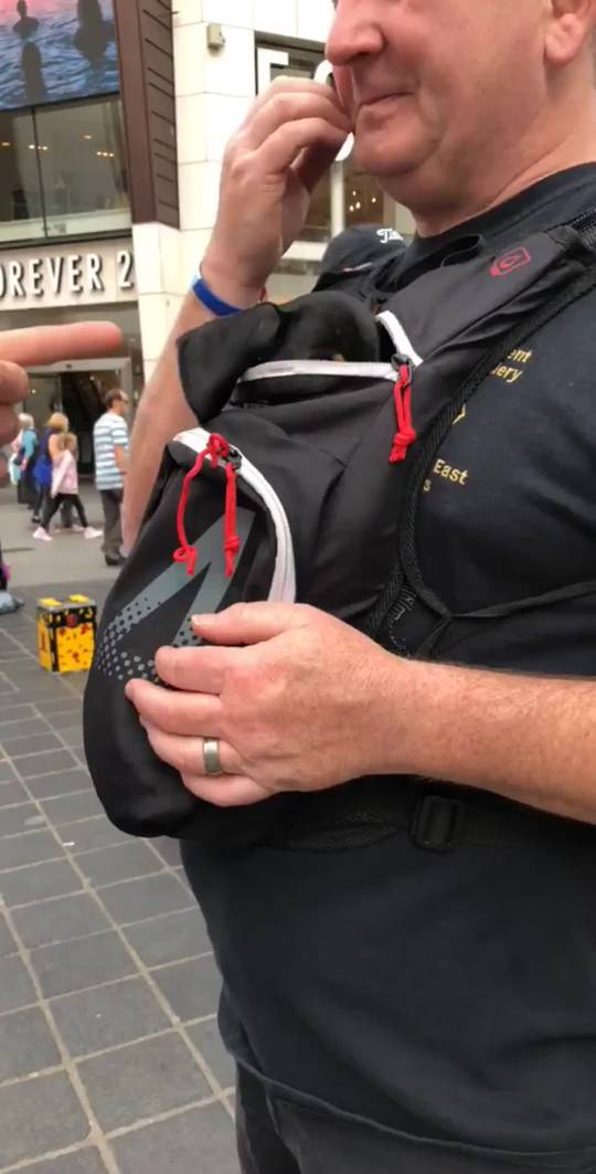 Always pack the essentials. | Scrolller