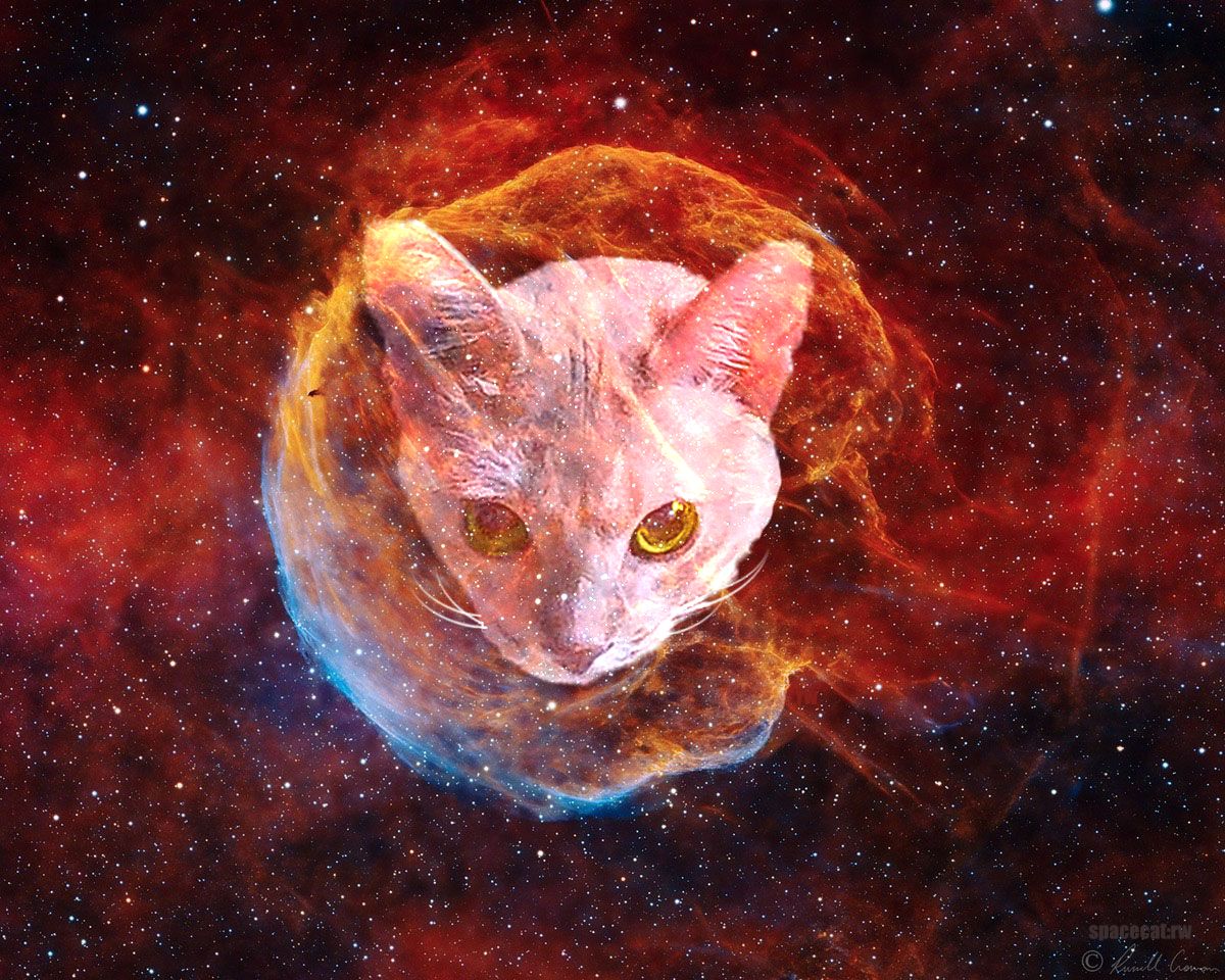 Always waiting, always watching | Scrolller