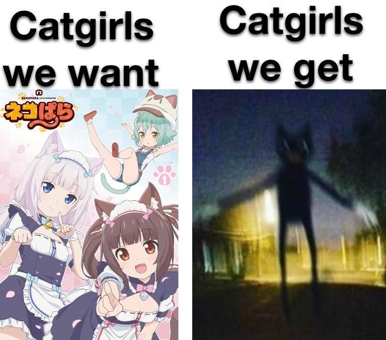 Am I posting too much? | Scrolller