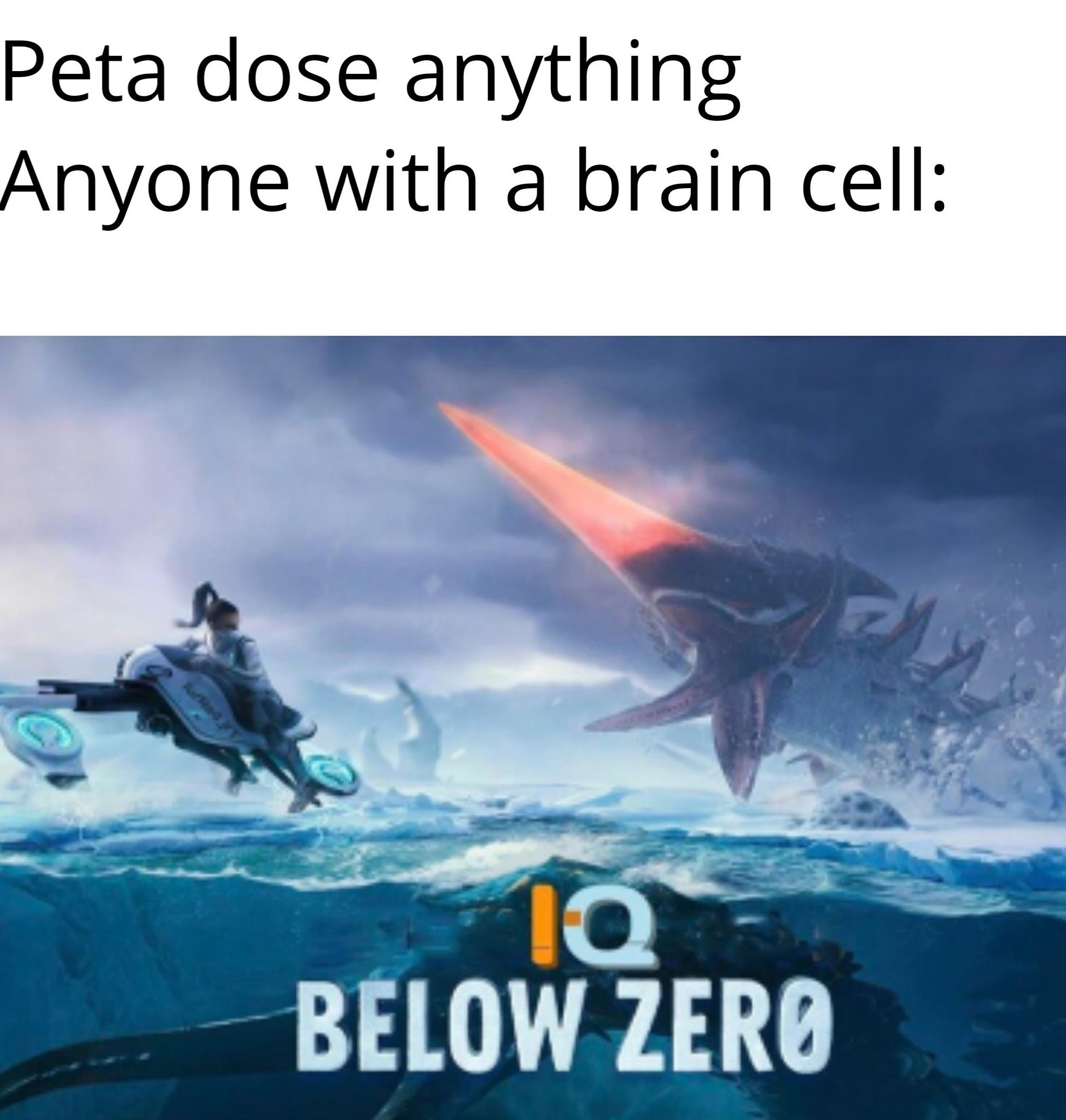 Am I wrong? | Scrolller