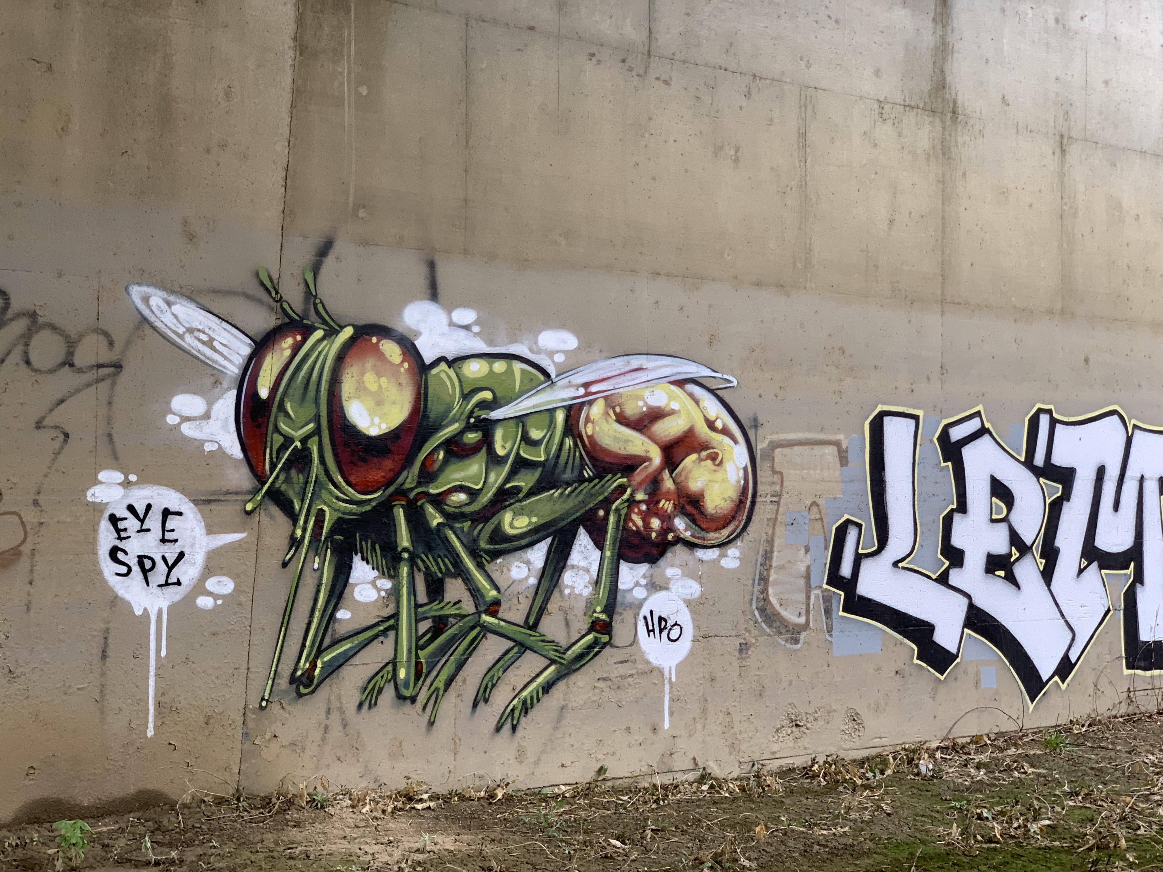 Amazing and trippy art | Scrolller