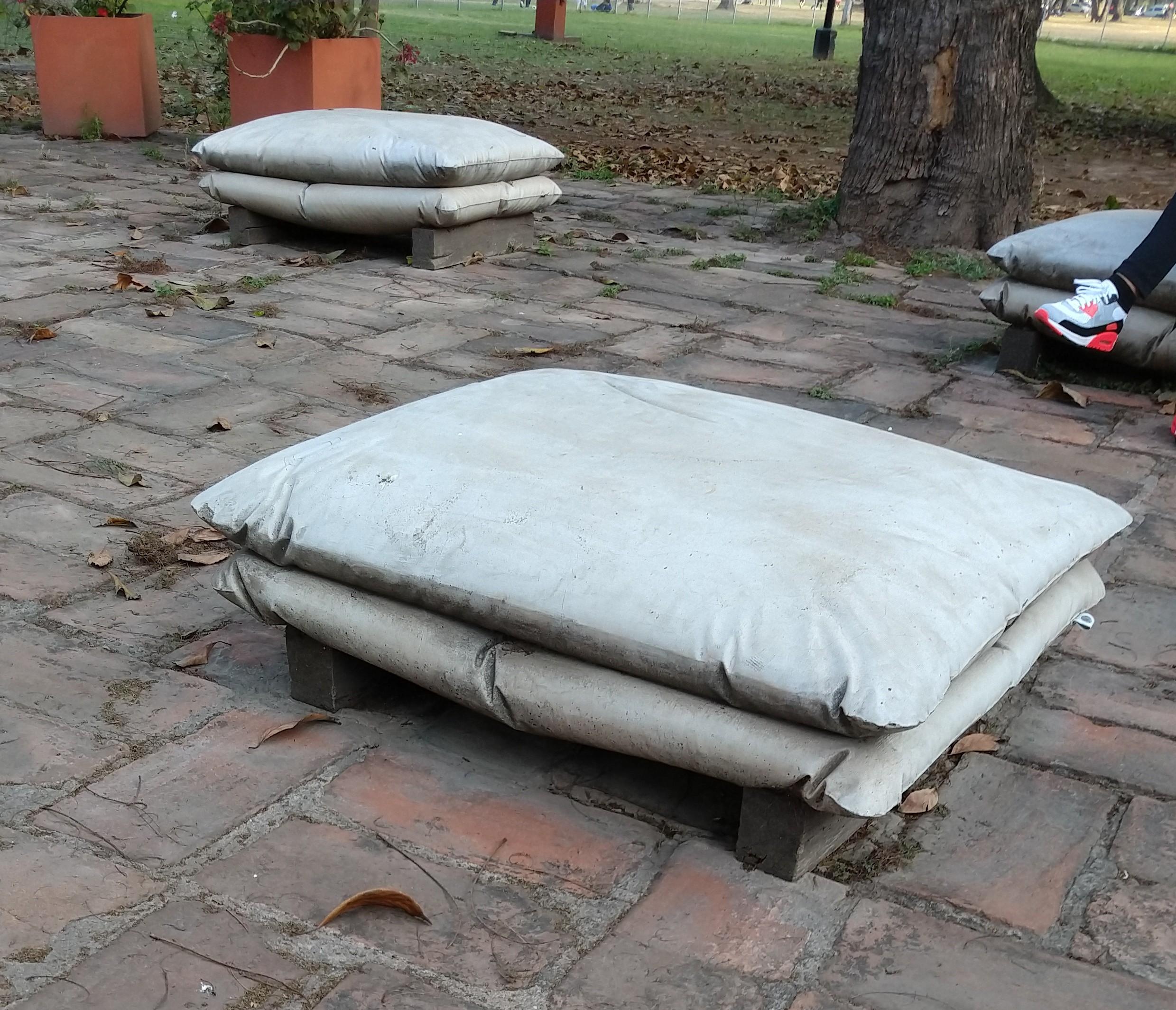 Amazing Execution | Scrolller