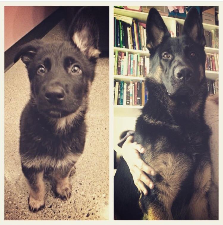 amazing the difference a year makes!! | Scrolller