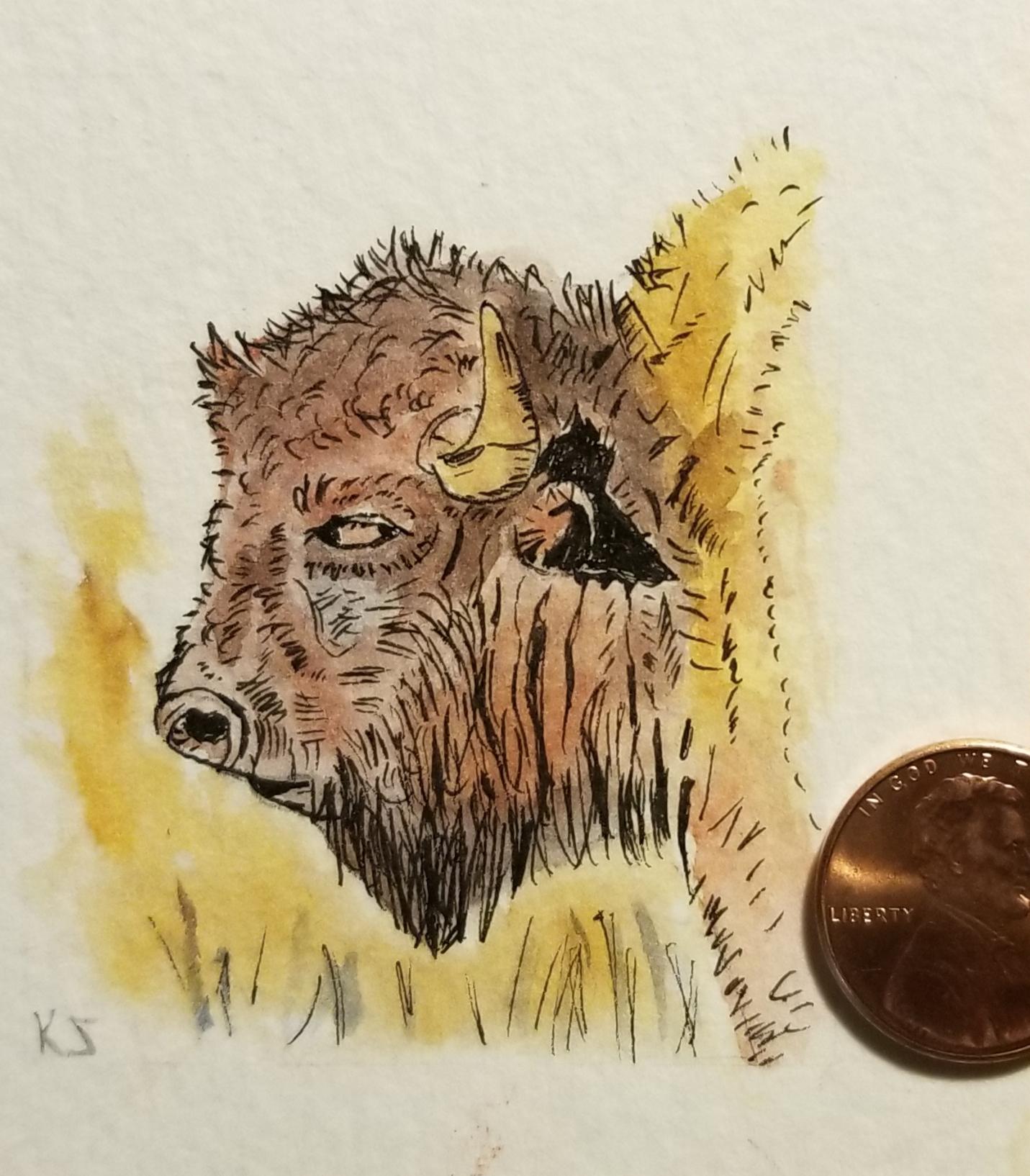 American Bison Mini Watercolor and Ink | Scrolller