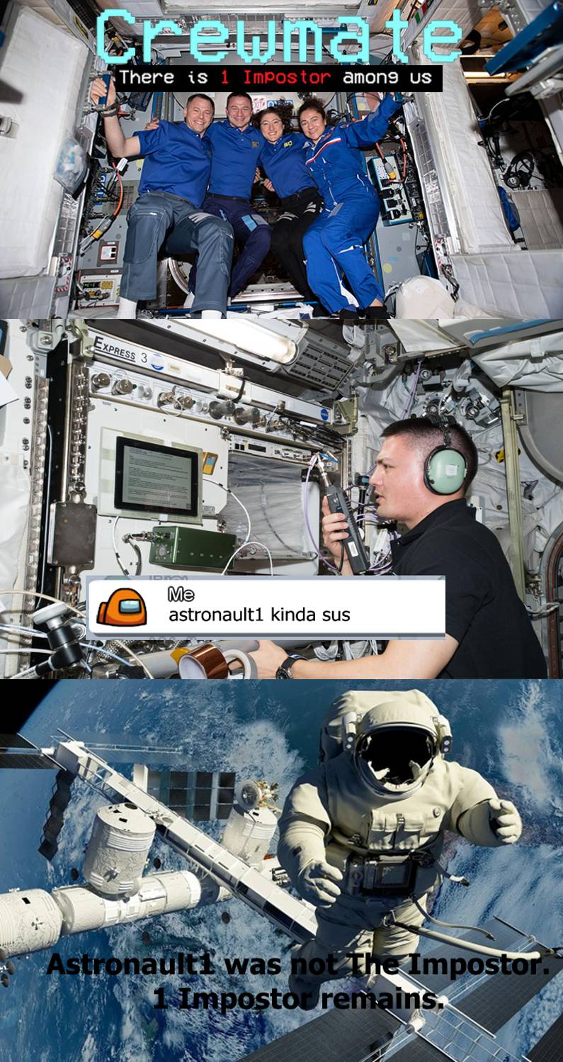 Among us IRL | Scrolller