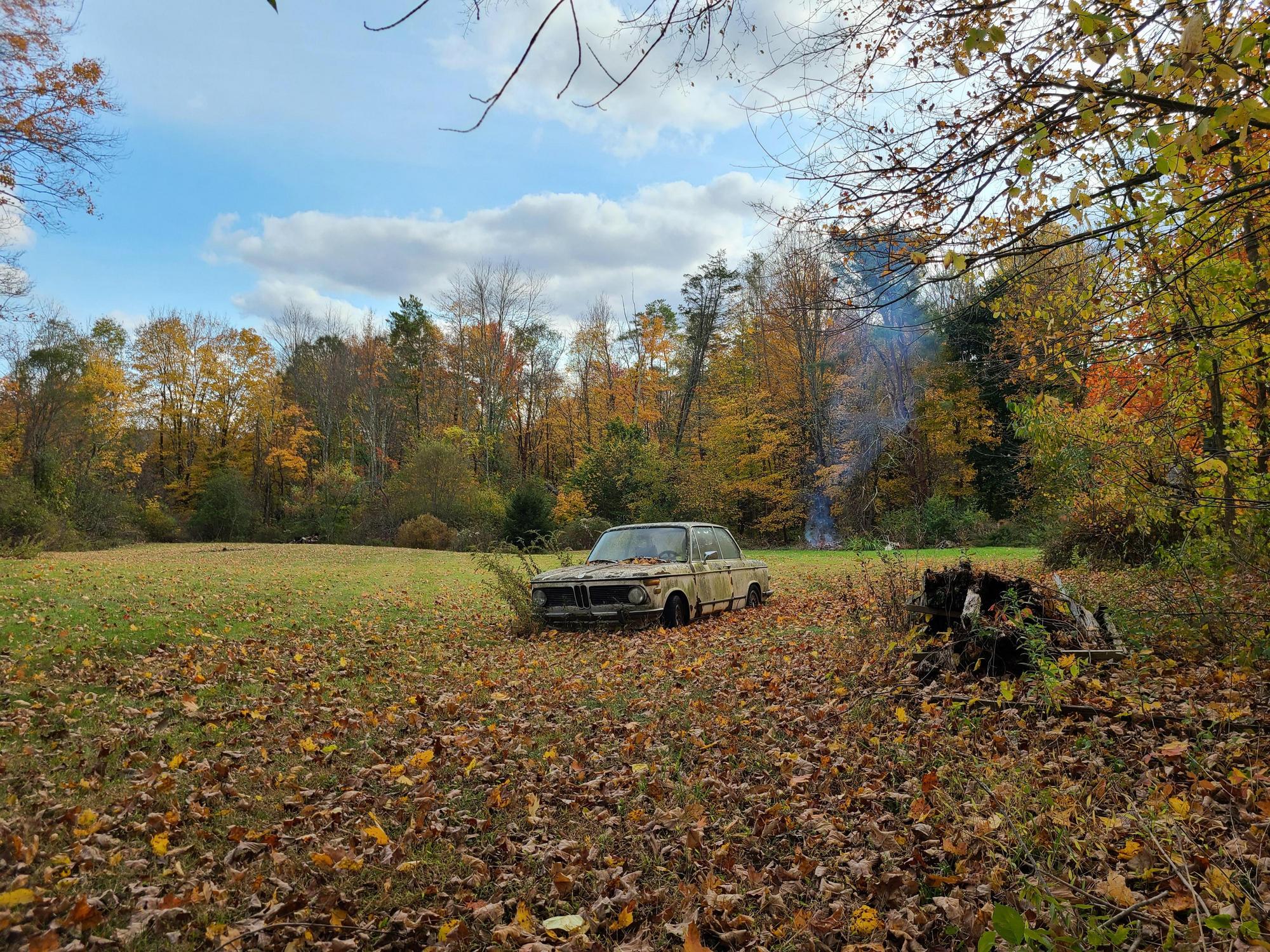 An abandoned Bimmer in a field [OC] | Scrolller