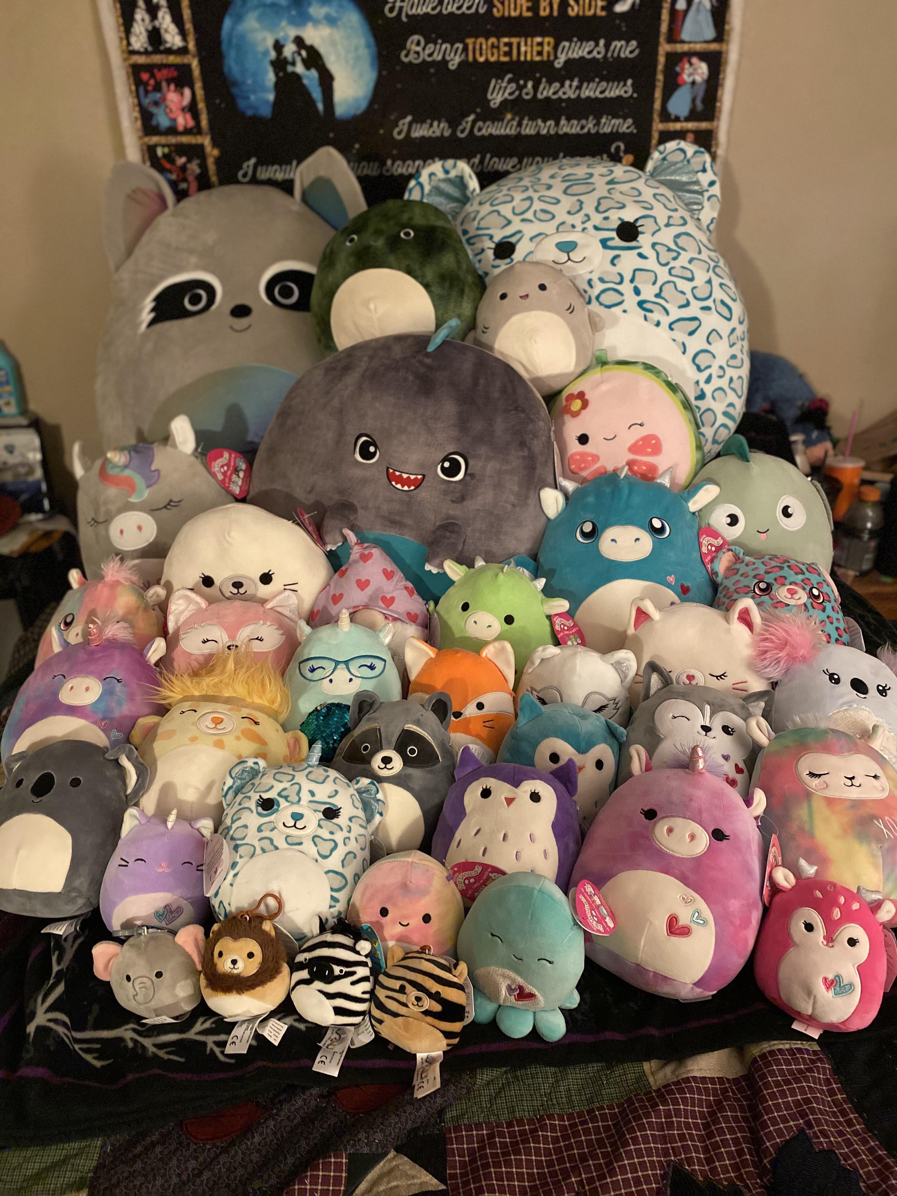 An updated Squishmallows Squad photo! I have four more on the way. 🙈🙈🙈 | Scrolller