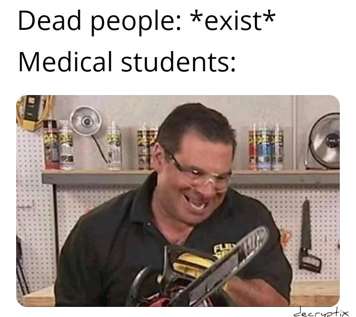 Anatomy 101 Meme Scrolller