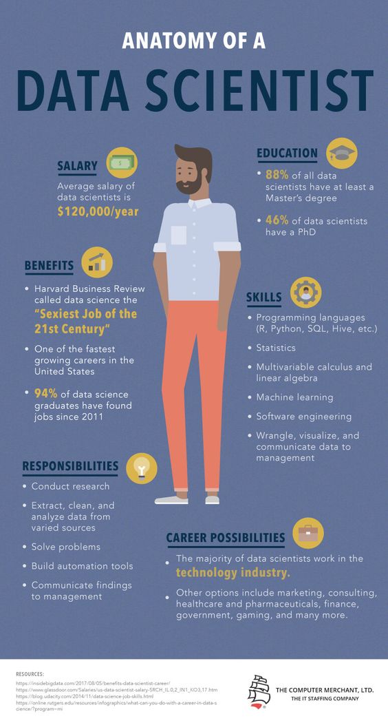 Anatomy Of Data Scientist | Scrolller