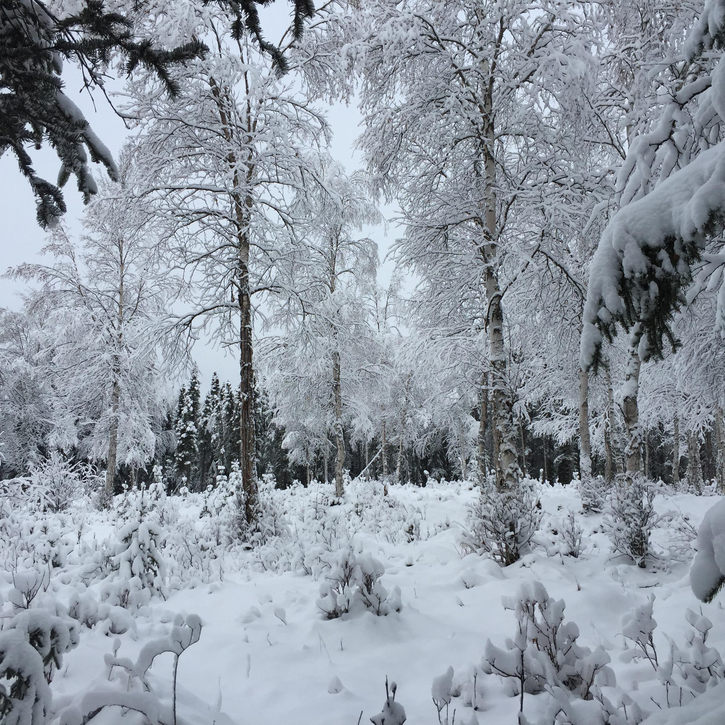 Anchorage, Alaska (October 2016) | Scrolller