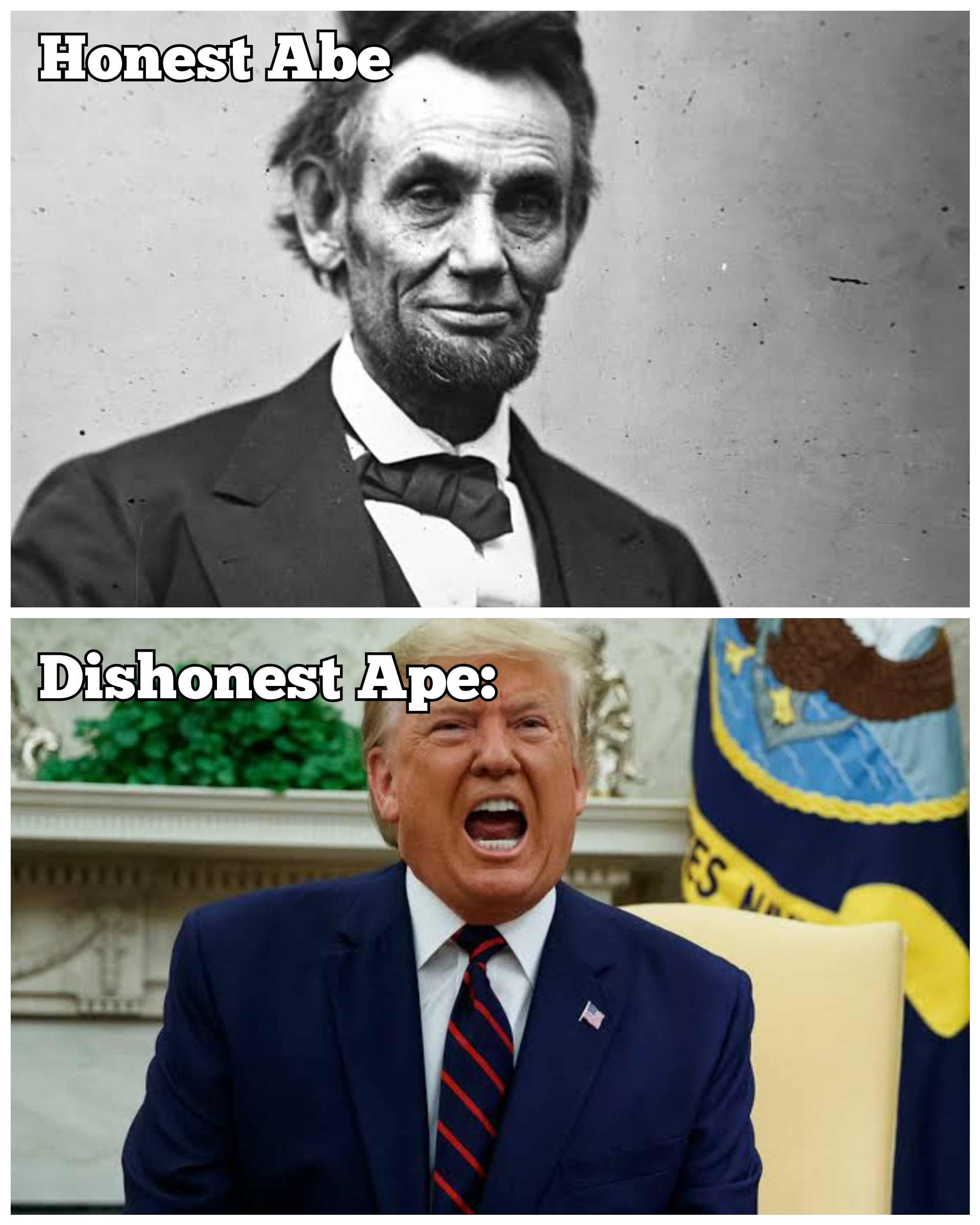 And I fully realise this is highly racist and disrespectful towards apes | Scrolller