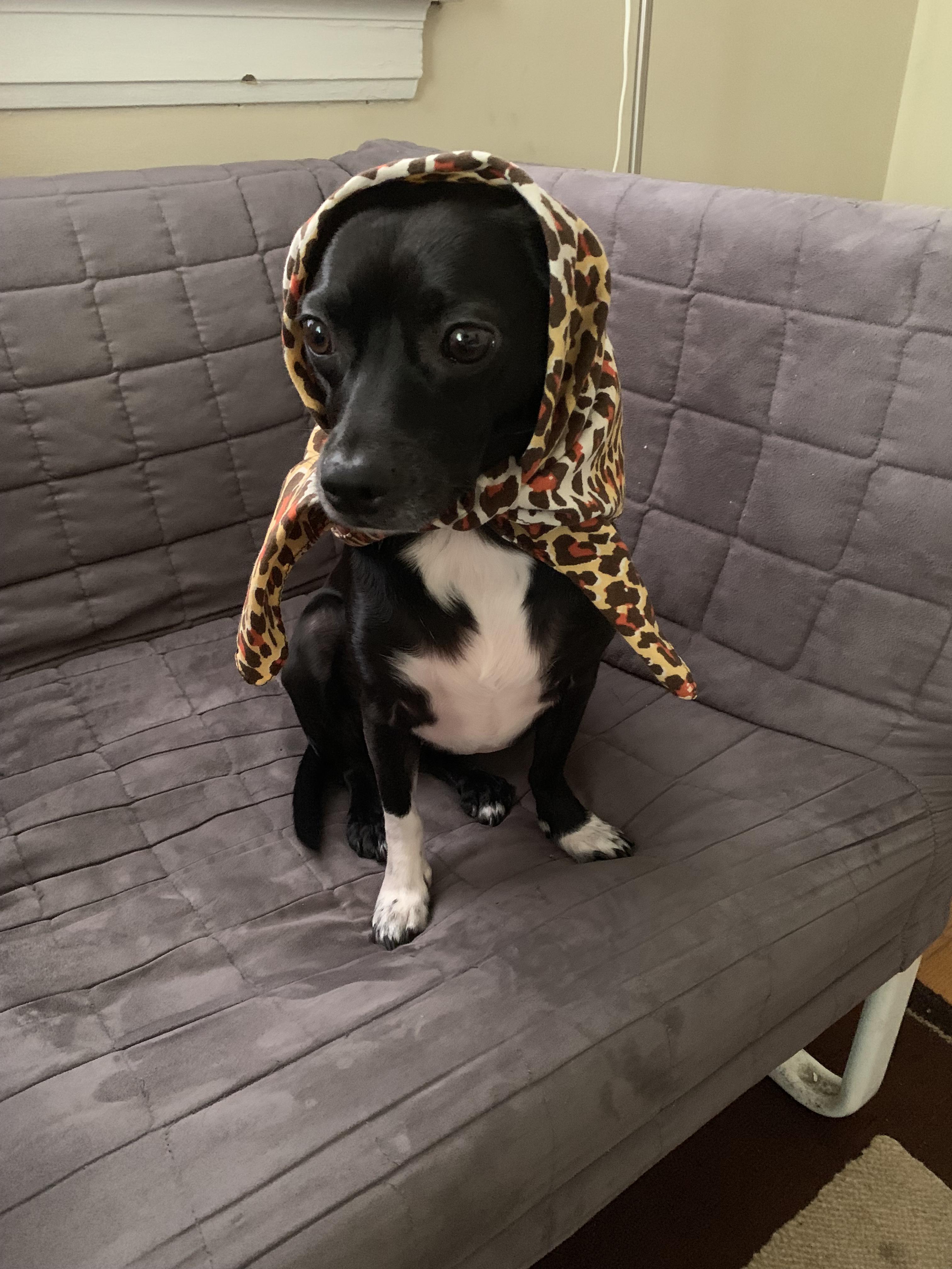 And pose! | Scrolller